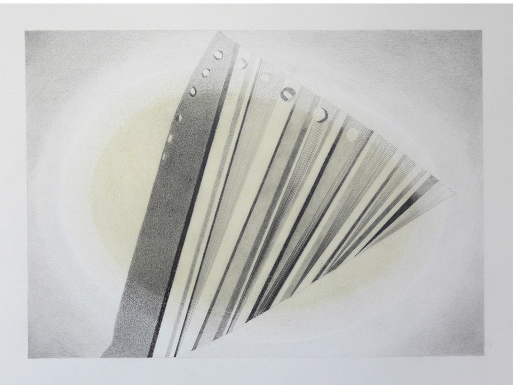 Lockdown Projects – March to July 2020 | Janine Hall